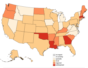 The smaller the city, the bigger the flu epidemic