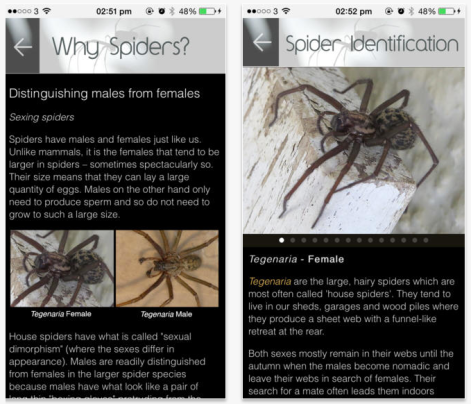 This App Helps You Identify Which Spider You Found In Your Bed