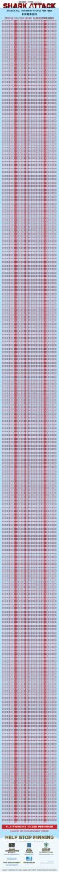 Shark Attacks On Humans Vs. Human Attacks On Sharks [Infographic]