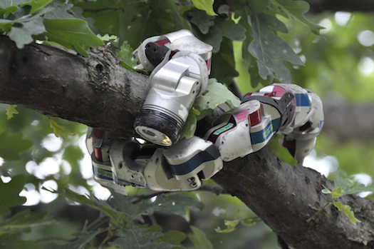 Watch a snake wearing robot trousers strut like a lizard | Popular Science