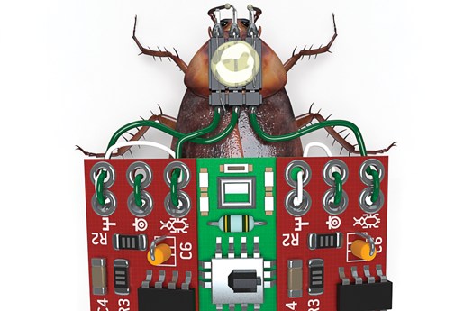How To Build Your Own Cockroach Cyborg