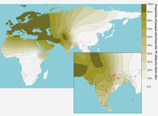 How A Gene For Fair Skin Spread Across India