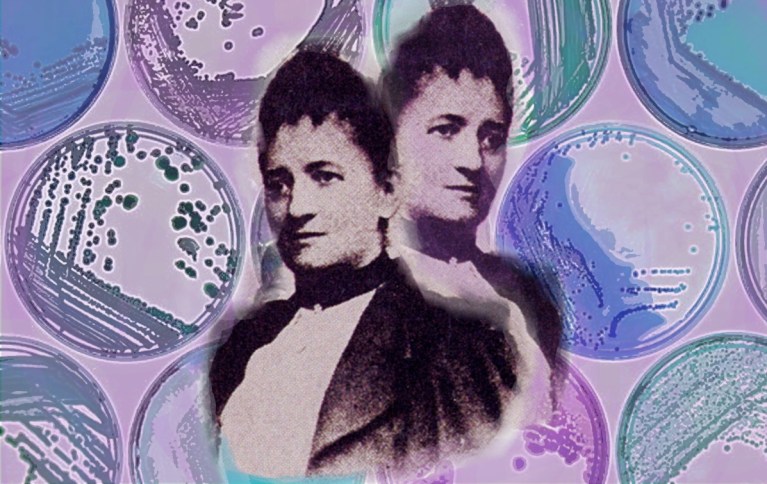 The Forgotten Woman Who Made Microbiology Possible