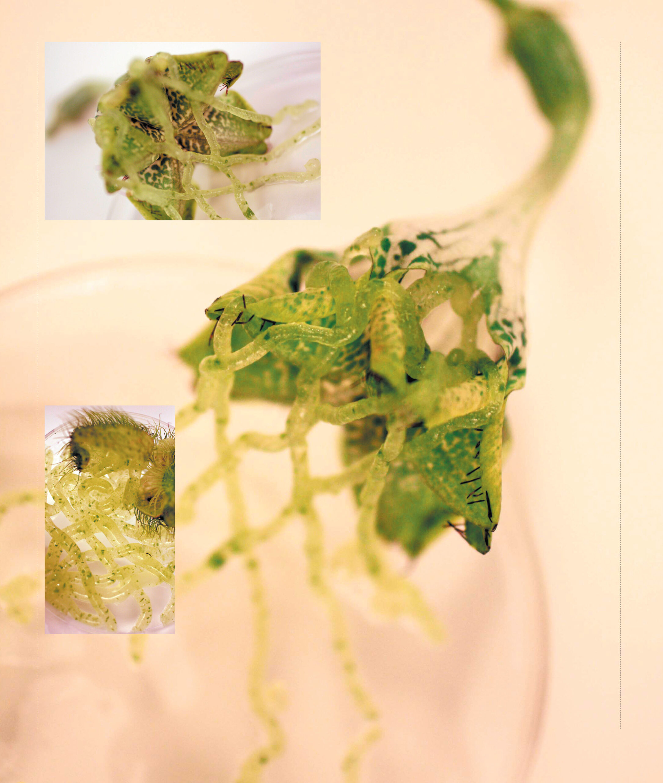 10 Of The Most Amazing Textiles Of The Future