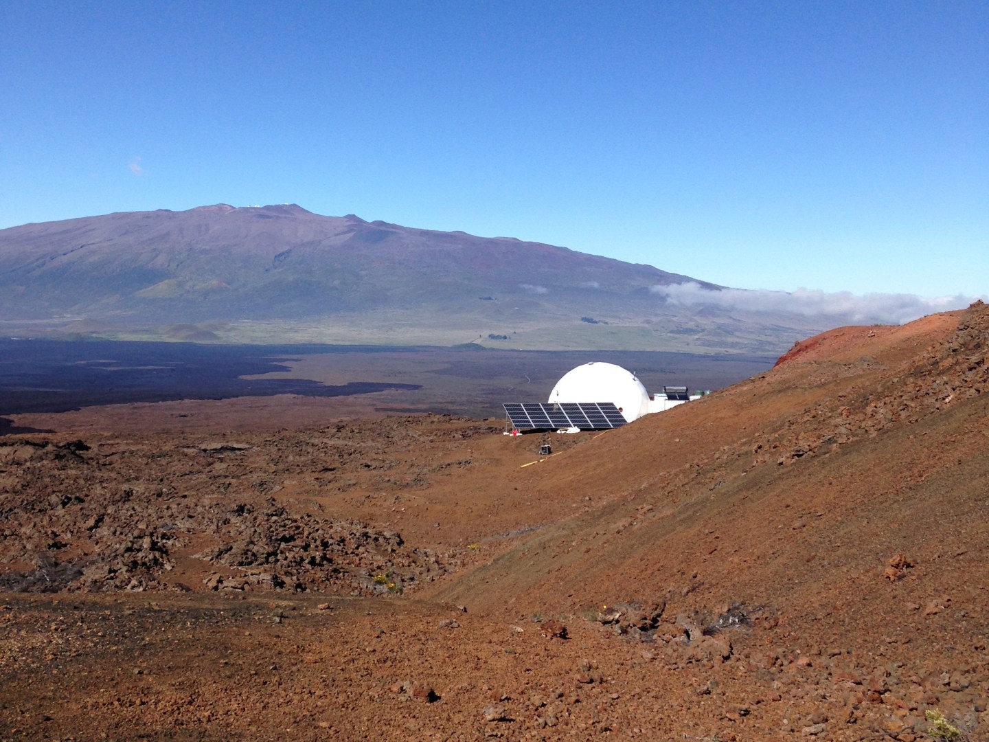 Meet A Real-Life Martian