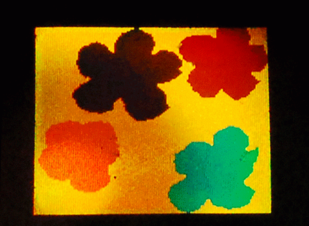 An Electronic Camouflage Cloak Inspired By Color-Changing Octopus Skin