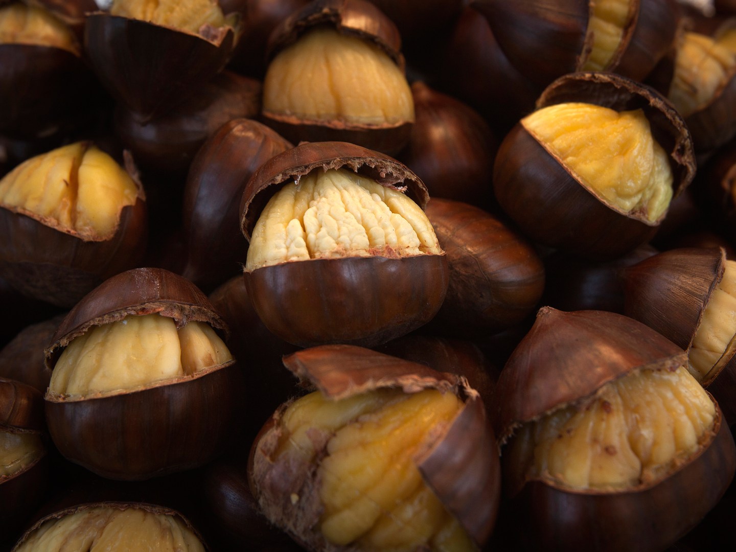 Genetically Modified Chestnuts Roasting On An Open Fire