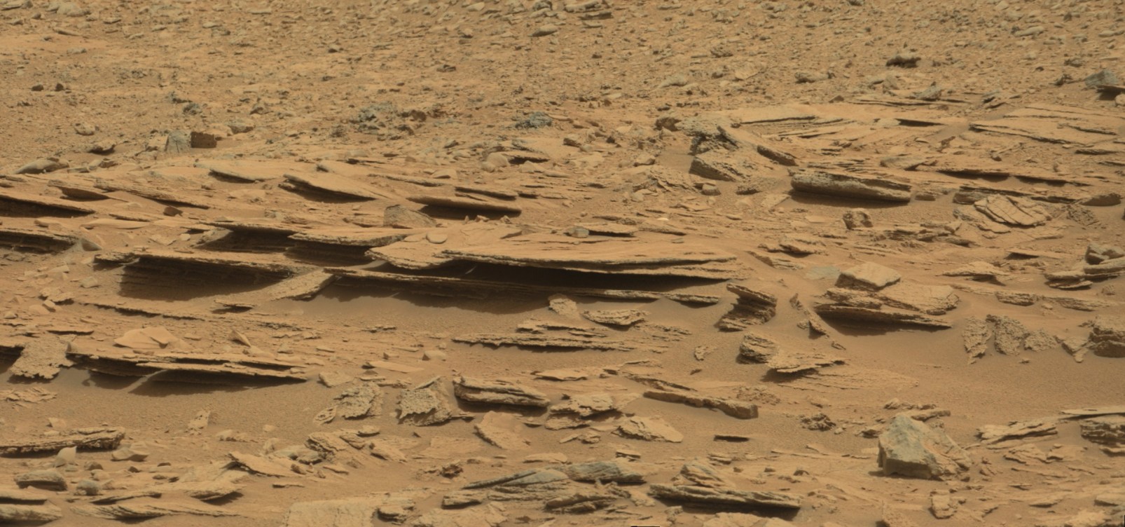 Earth Bacteria Can Survive And Grow In Extremely Hostile, Mars-Like ...