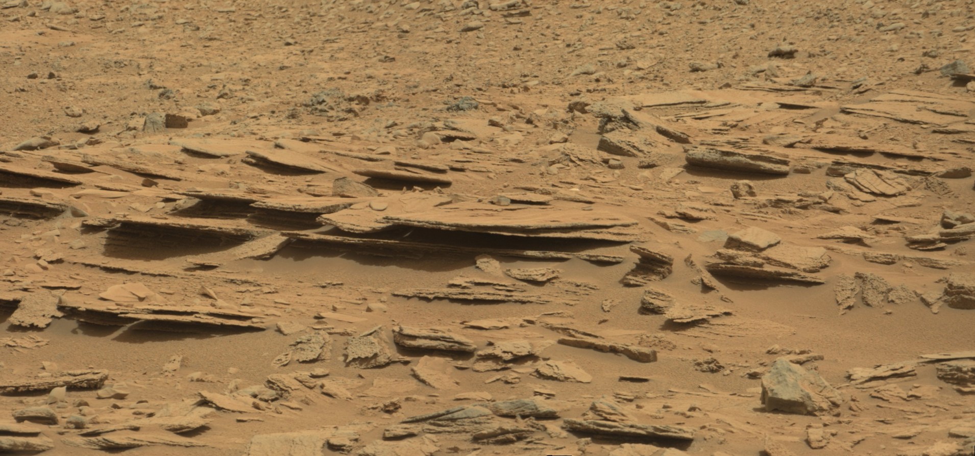 Earth Bacteria Can Survive And Grow In Extremely Hostile, Mars-Like ...
