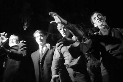 FYI: Do Zombies Experience Consciousness?