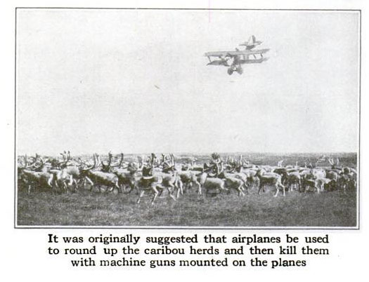 Enviropig: A Bioengineered Pig That Excretes Fewer Pollutants