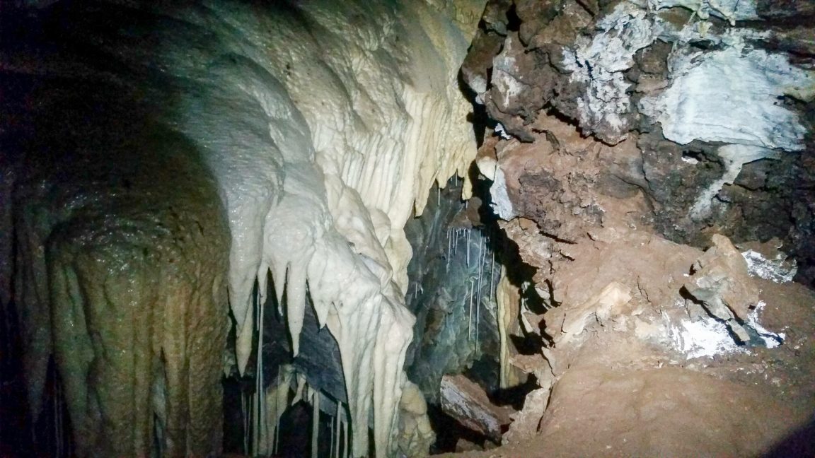 Scientists are spelunking for cave gunk to fight superbugs