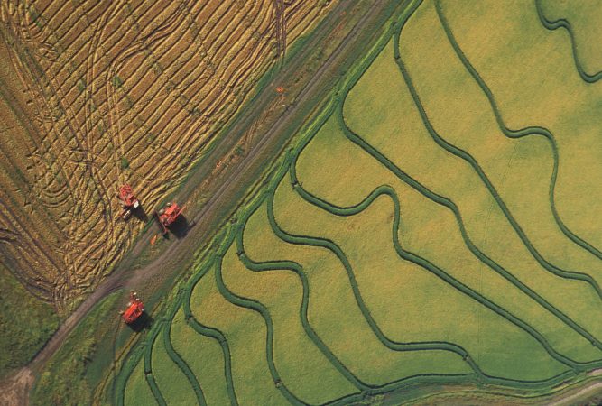 GMO Facts: 10 Common GMO Claims Debunked