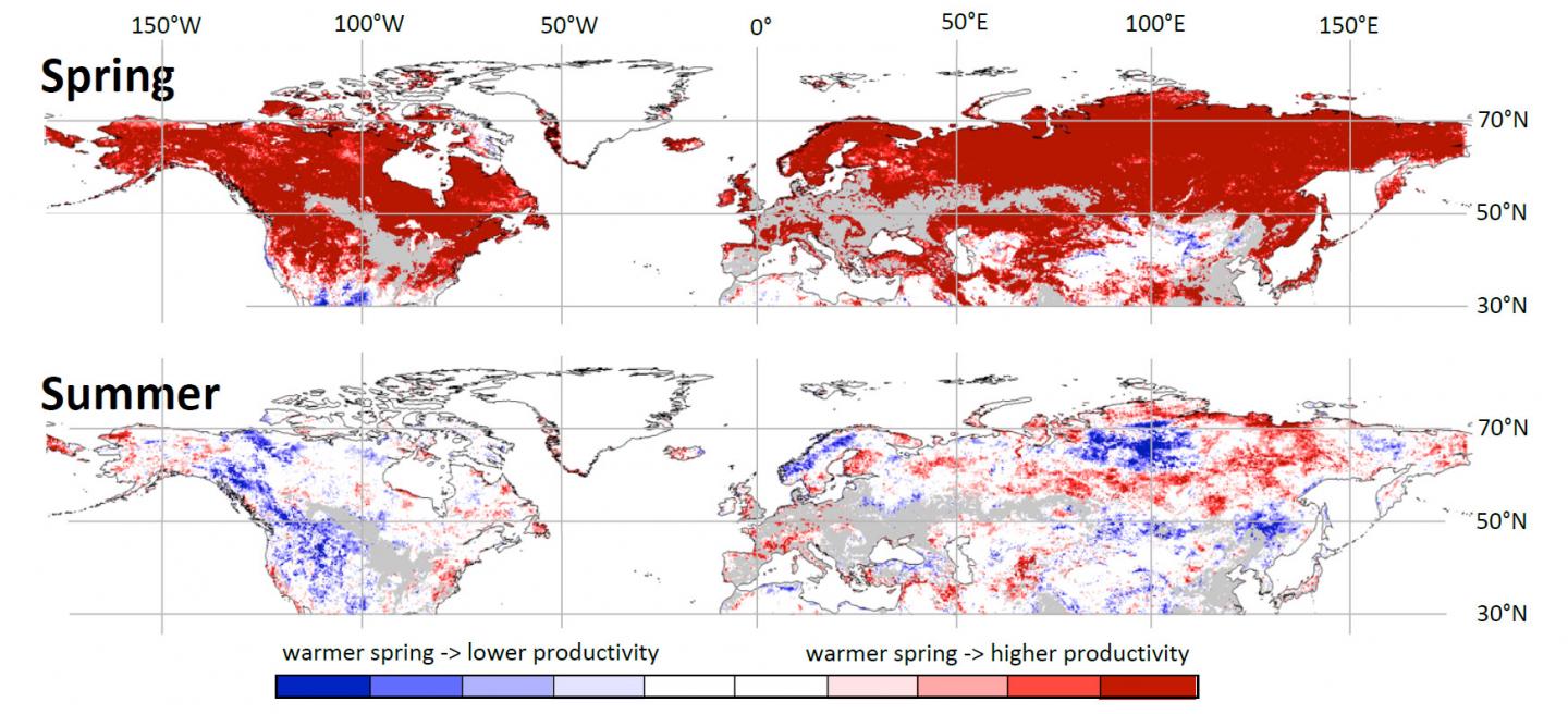 Shorter winters are stunting the growth of plants