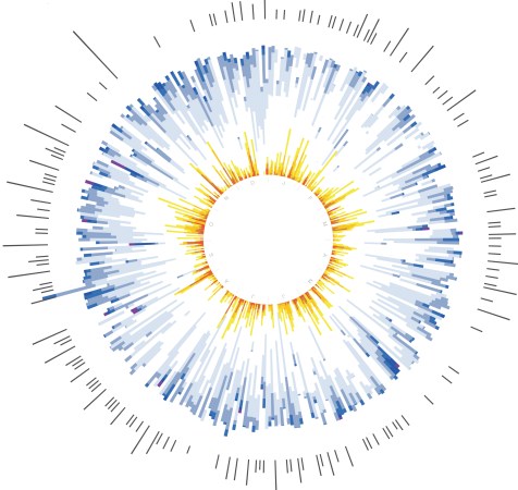 Diabetic Charts A Year's Worth Of His Health Data