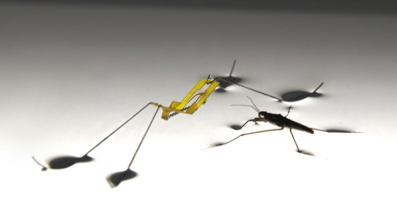 Insect-Like Robot Can Jump On Water