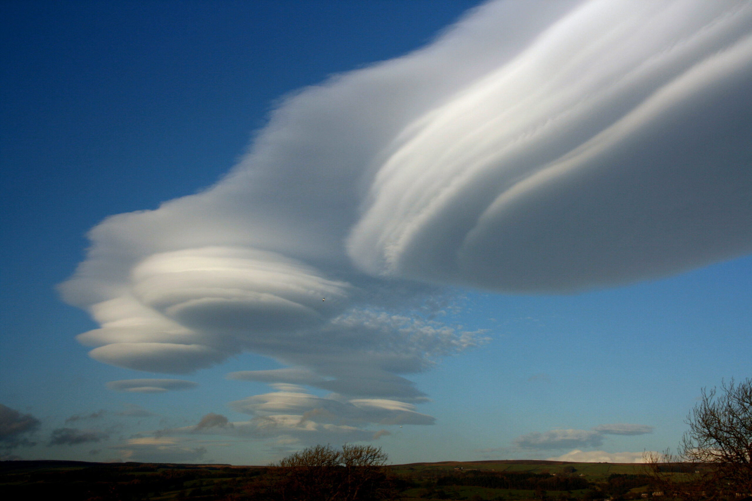 There’s a whole new species of cloud