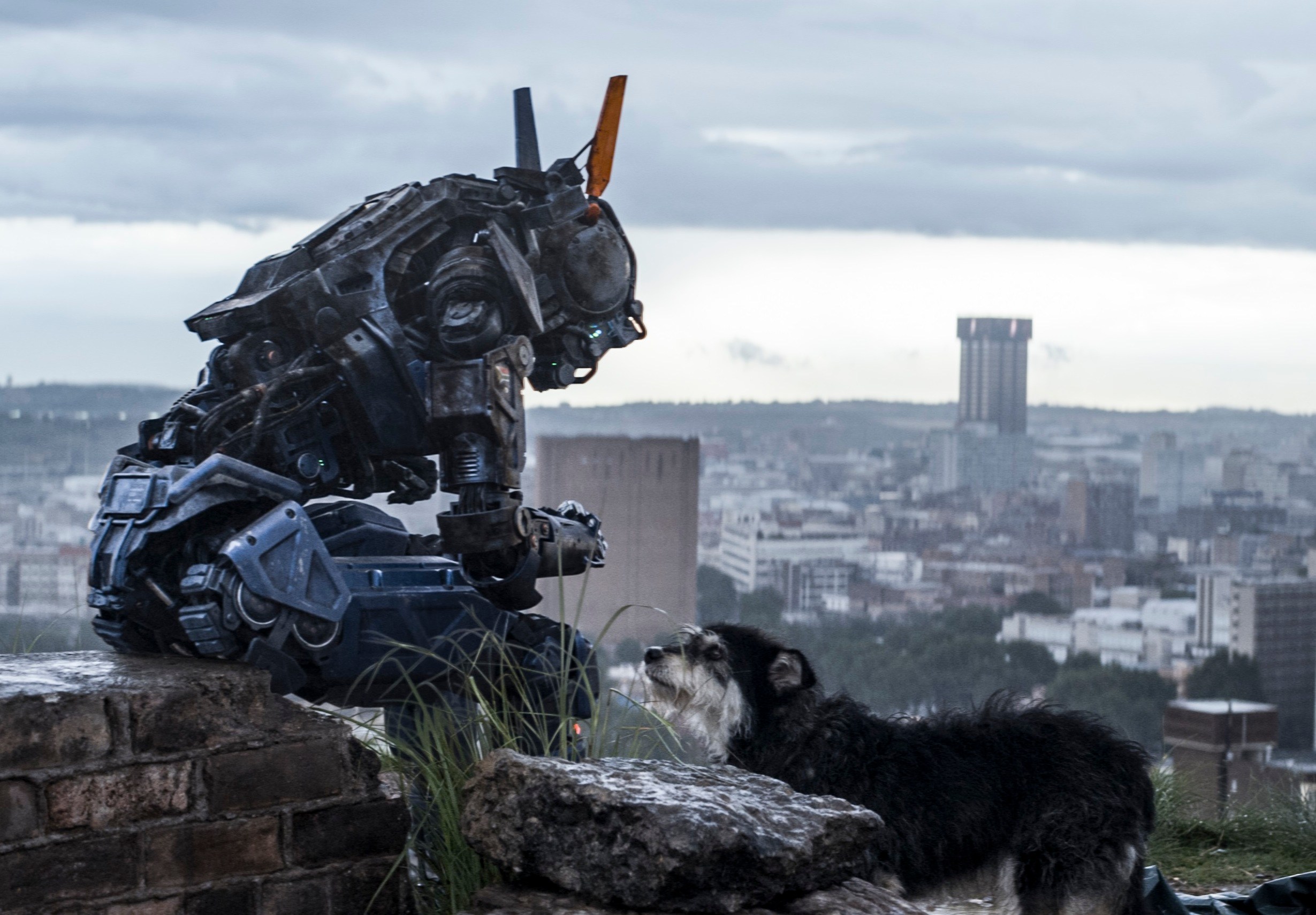 Why A Real CHAPPiE Robot Would Be More Of A Mystery Than A Friend