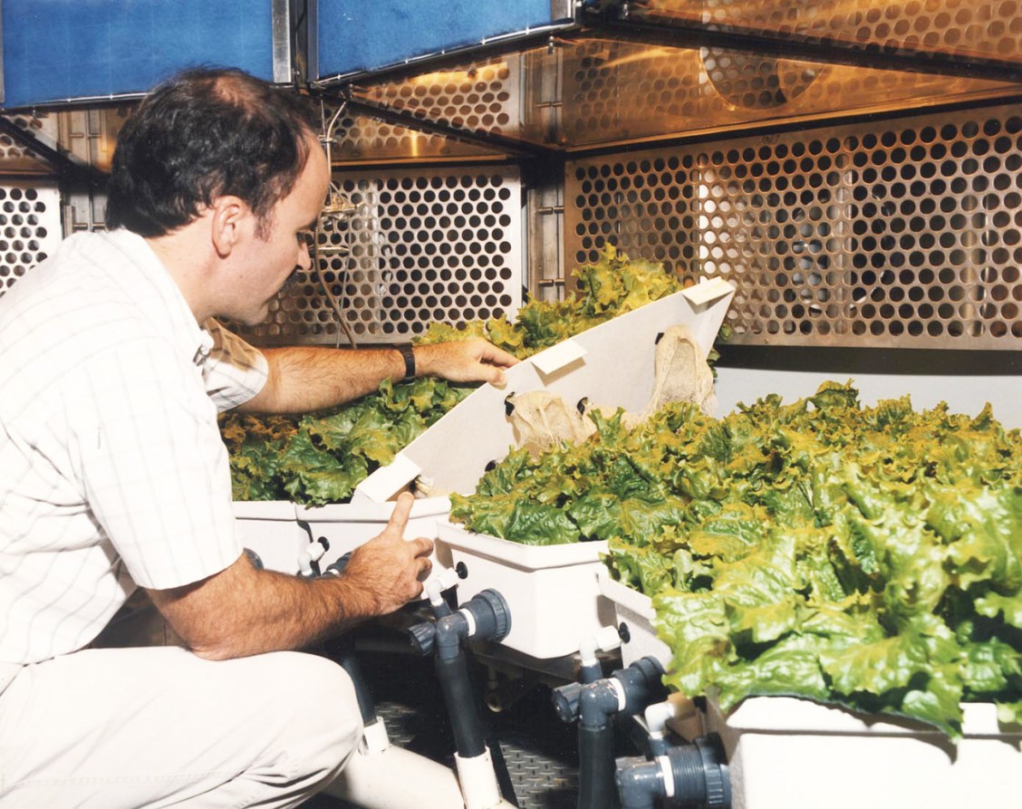 Shedding New Light On Basement Marijuana Technology