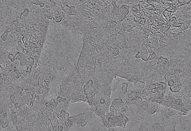 How Bacteria Create Their Own Ice