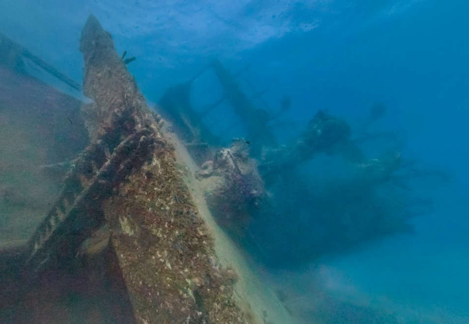 Swim Through The Seven Seas With Google Fish View