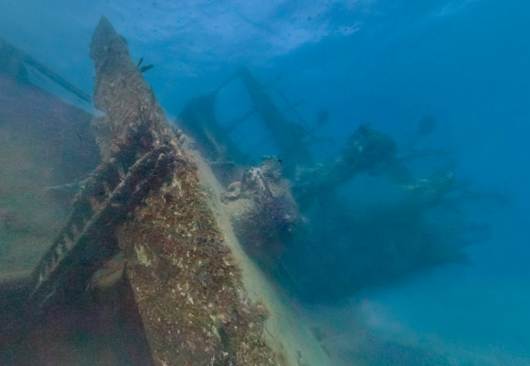 Swim Through The Seven Seas With Google Fish View