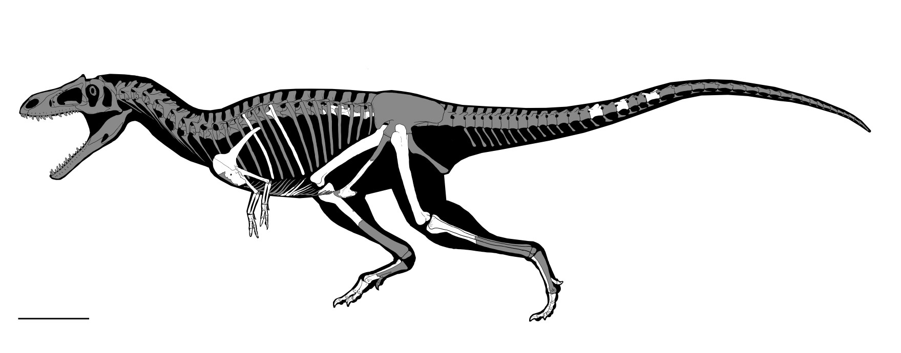 T. Rex Wasn't The Only Dinosaur With Absurdly Tiny Arms
