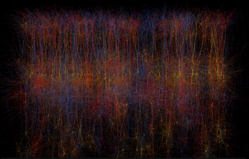 This Simulated Rat Brain Is Amazing, But Won't Solve Brain's Mysteries