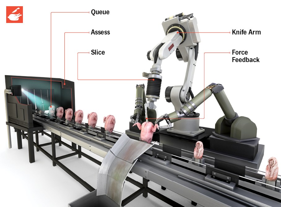 How It Works: The Robotic Chicken Butcher