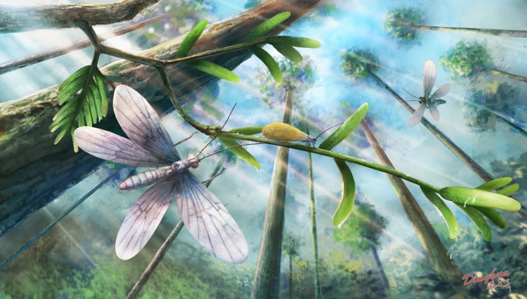Now paleontologists know what colors graced these 200-million-year-old ...