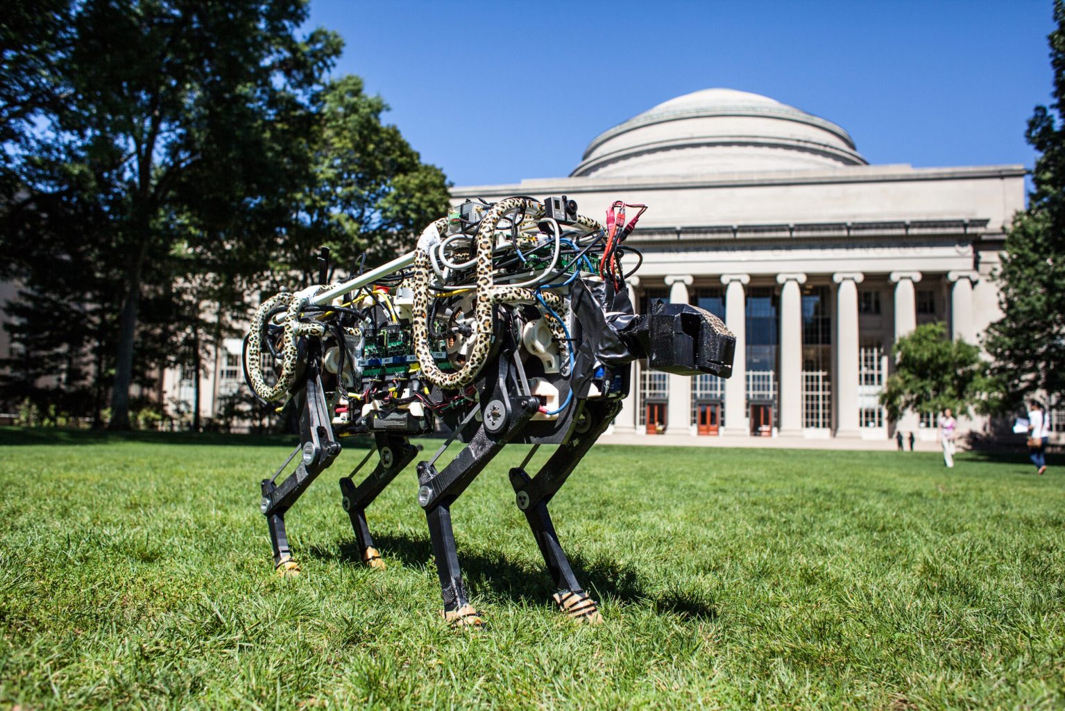 Watch this cheetah robot do a speedy zoomie | Popular Science