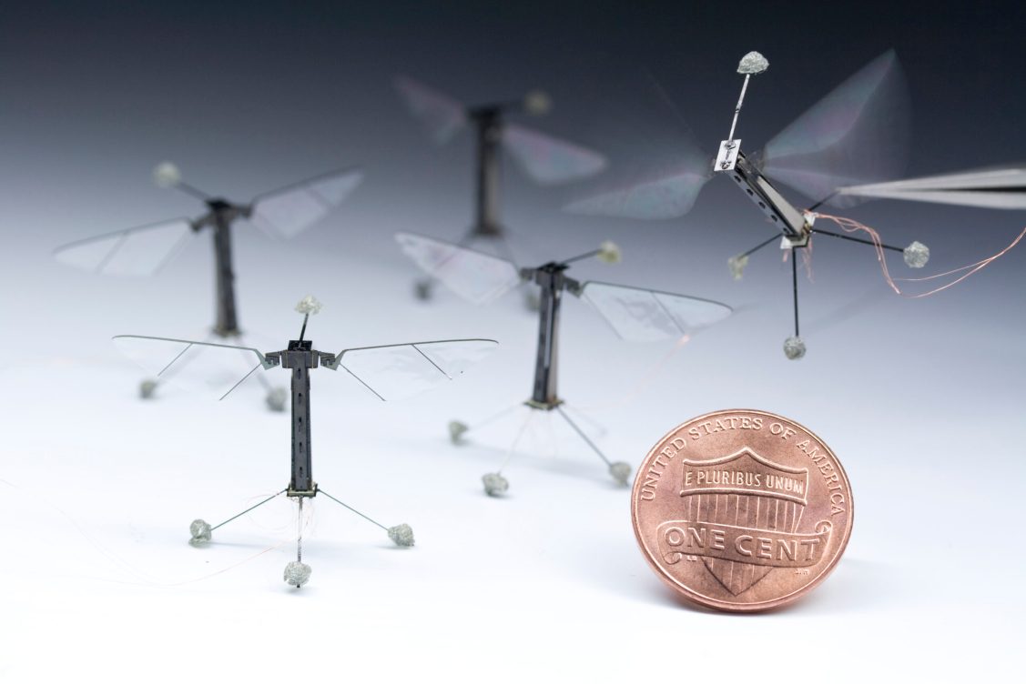 These fold-up robots fly just like ladybugs