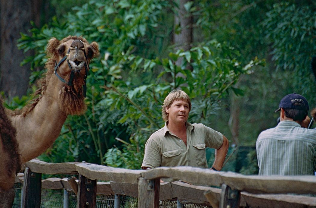 A decade after his death, Steve Irwin is still the face of wildlife ...