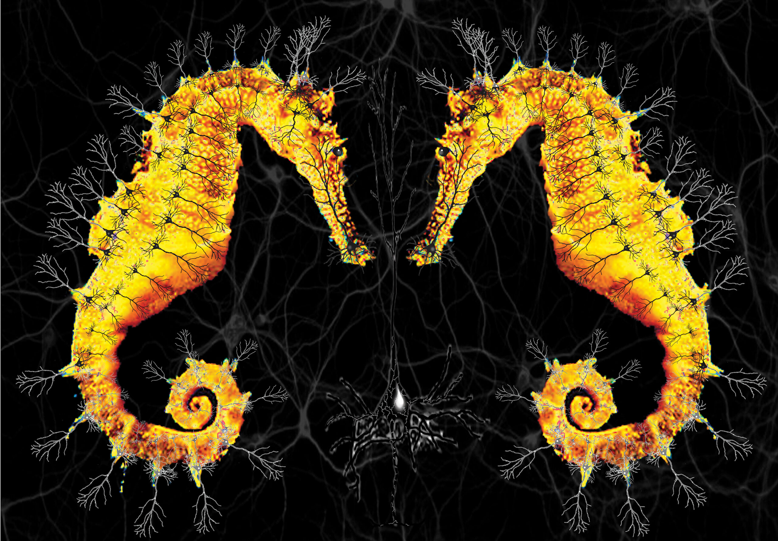 The 10 Best Science Images, Videos, And Visualizations From The 2015 ...