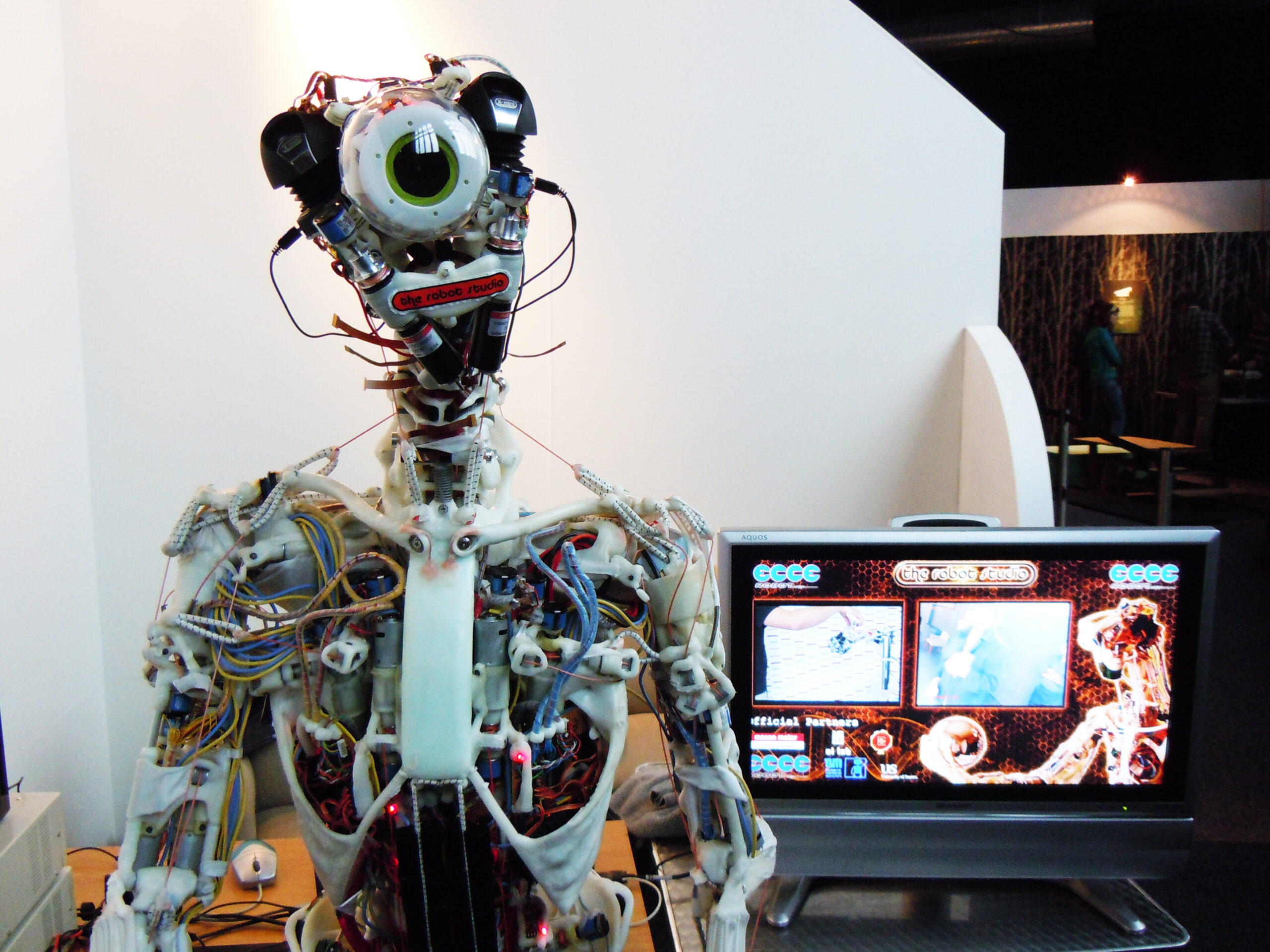 Let's use humanoid robots to grow transplant organs