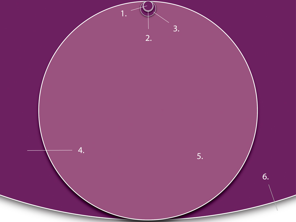 How much space does all of humanity's knowledge take up?