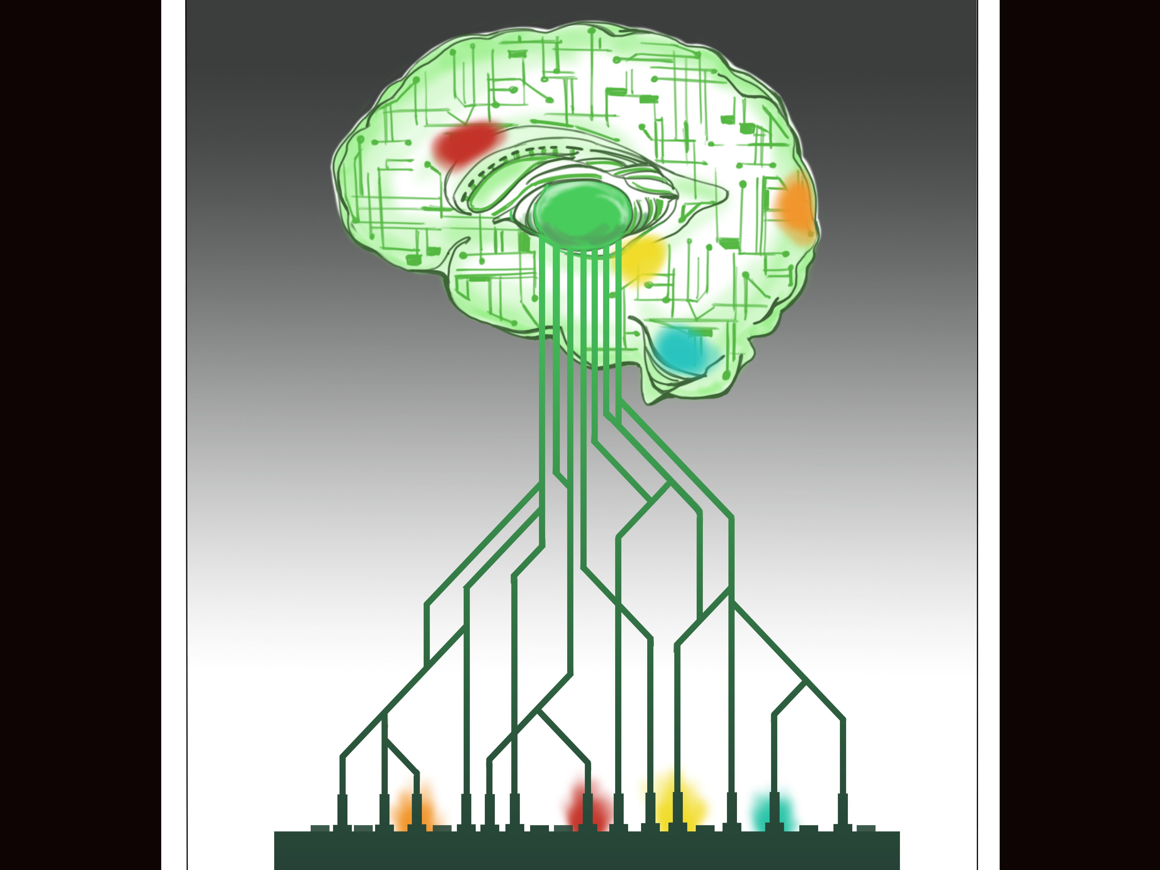 Study Shows How Our Brains Are Able To Multitask