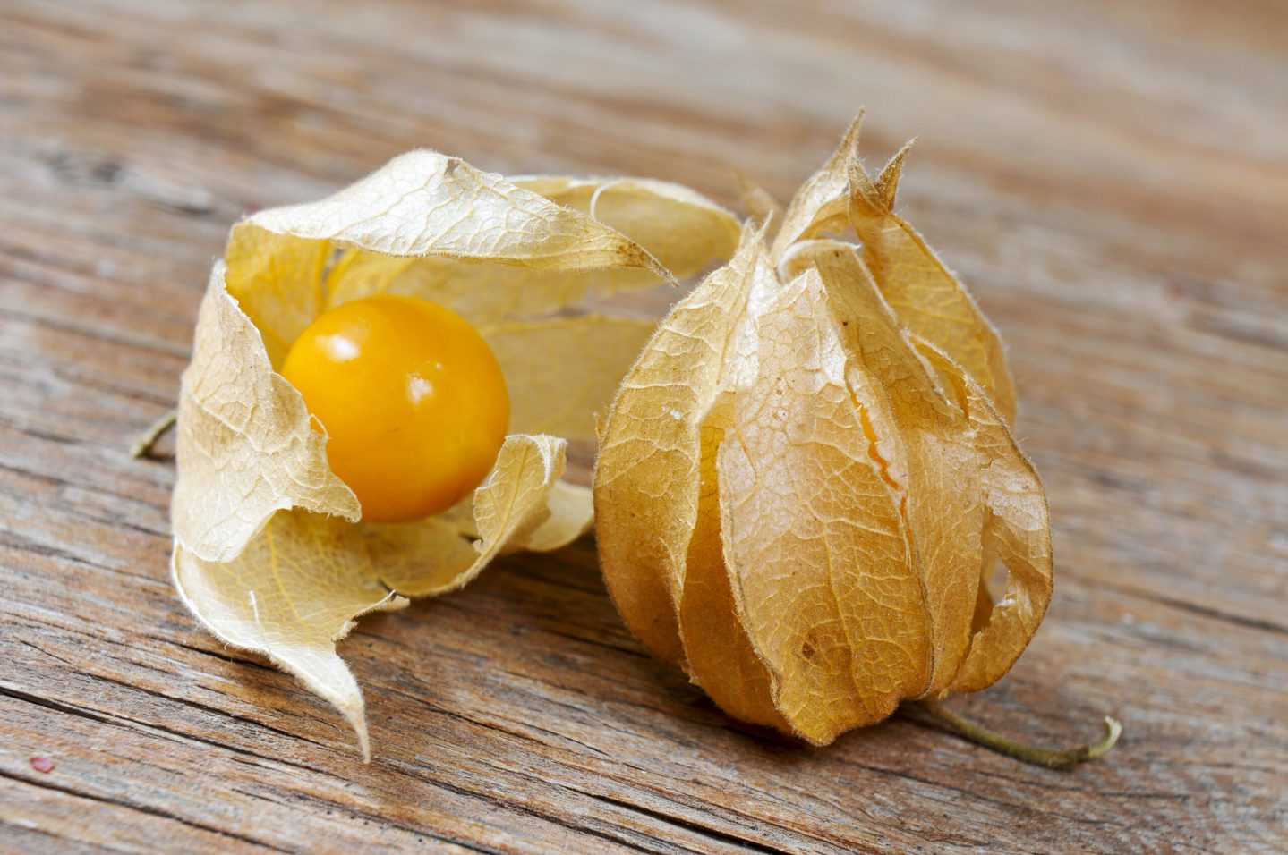 Gene editing could turn this wild orphan fruit into your new favorite berry