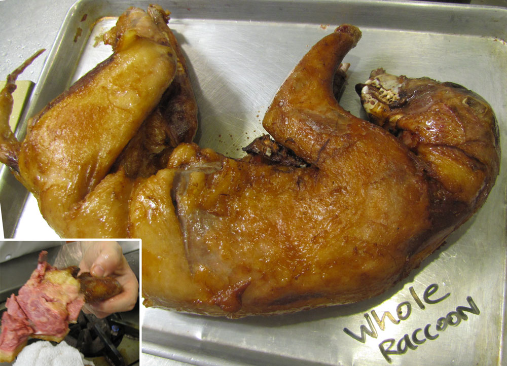 Why I Eat Lion and Other Exotic Meats