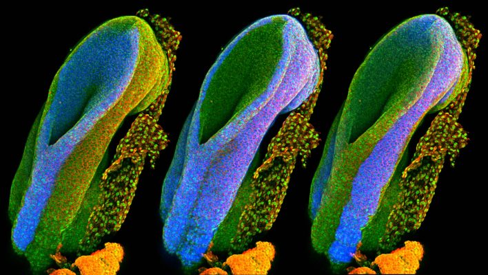 22 stunning images that turn science into art