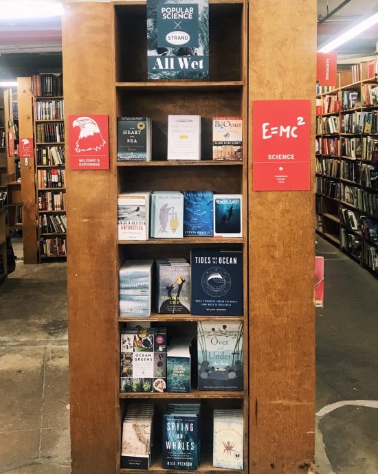 18 water-themed books to dive into this month