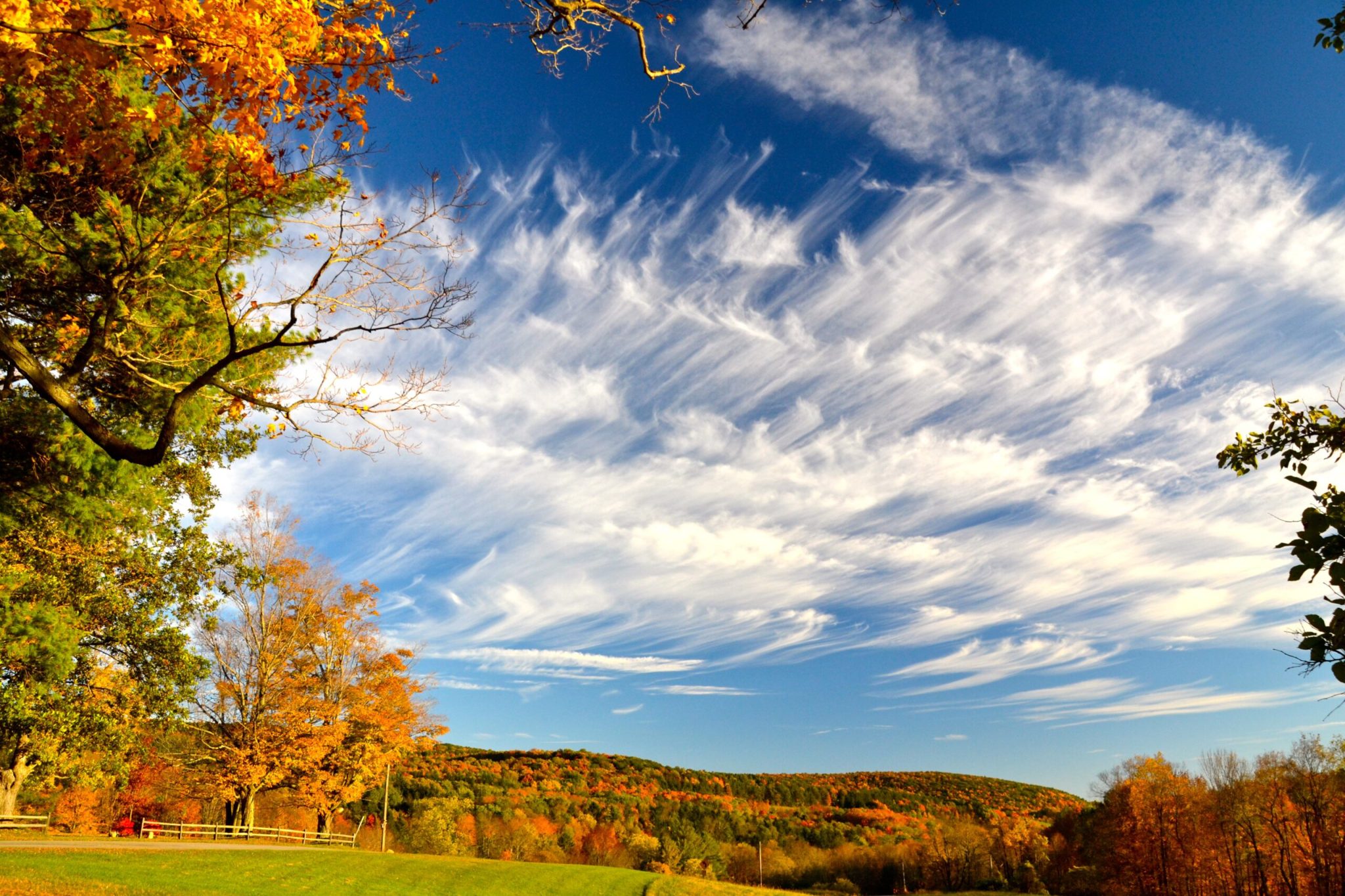 There’s a whole new species of cloud