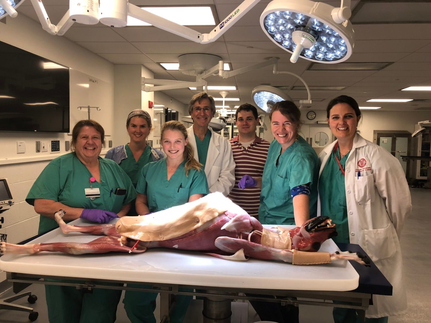 These synthetic canine cadavers help vets save real dogs