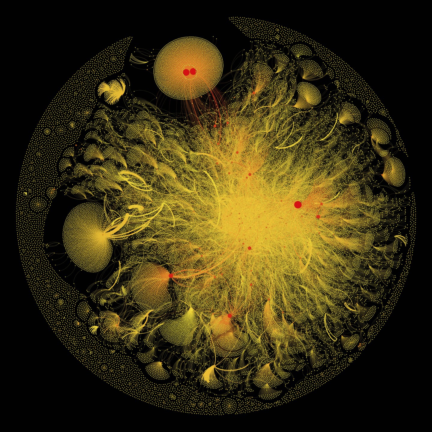 22 stunning images that turn science into art