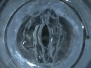 Harvard-MIT Team's New Synthetic Vocal Cord Gel Gives Voice to the ...