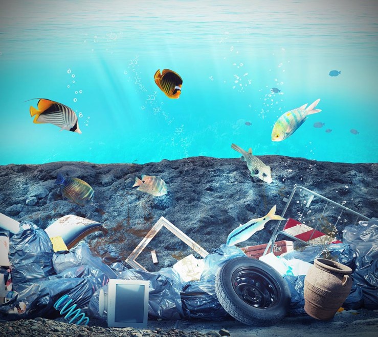 Why fish can't help but eat our plastic garbage