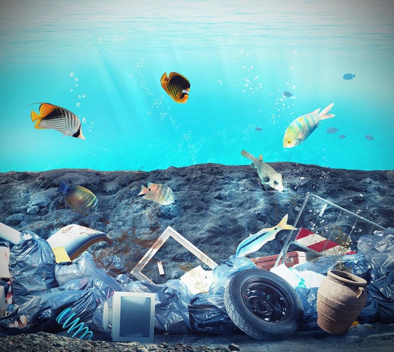 Why fish can't help but eat our plastic garbage