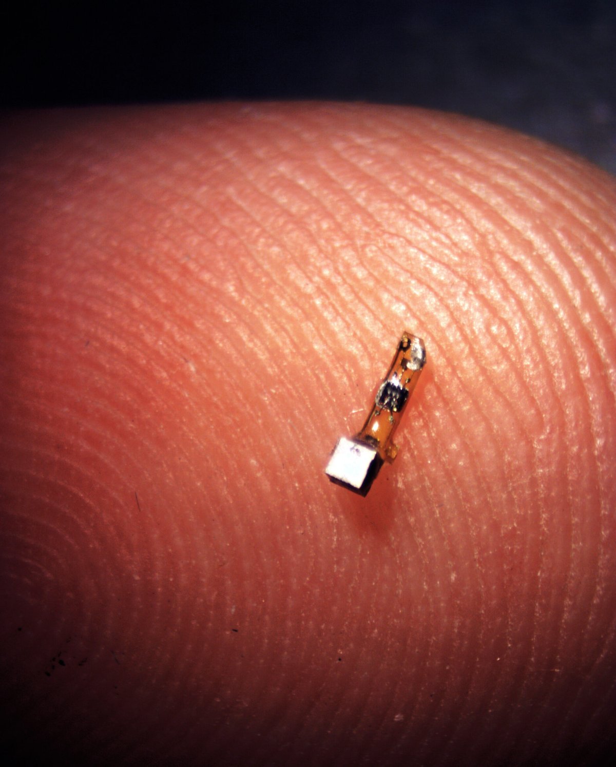 Wireless 'Neural Dust' Could Monitor Your Brain