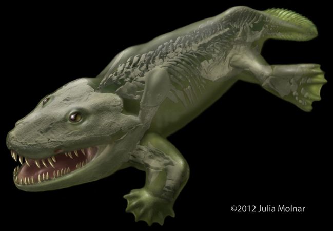 Who Were The First Organisms To Live On Land?