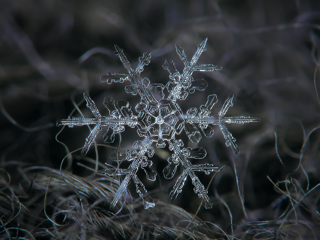 How a snowflake gets its shape